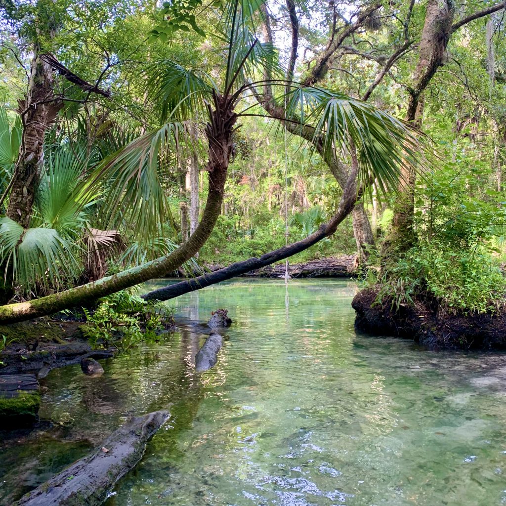 Things to do in Chassahowitzka Springs – Springs in Florida
