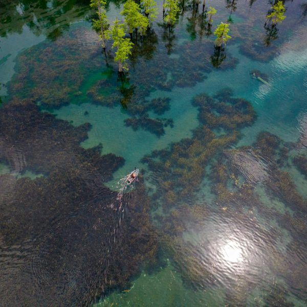 Things to do in Jackson Blue Springs – Springs in Florida