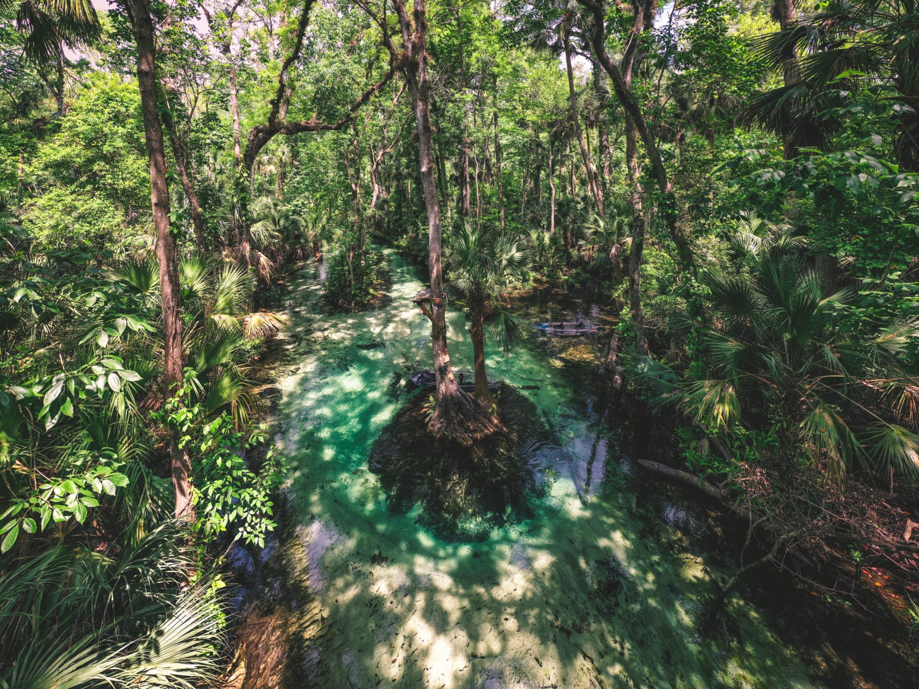 Things to do in Rock Springs – Springs in Florida