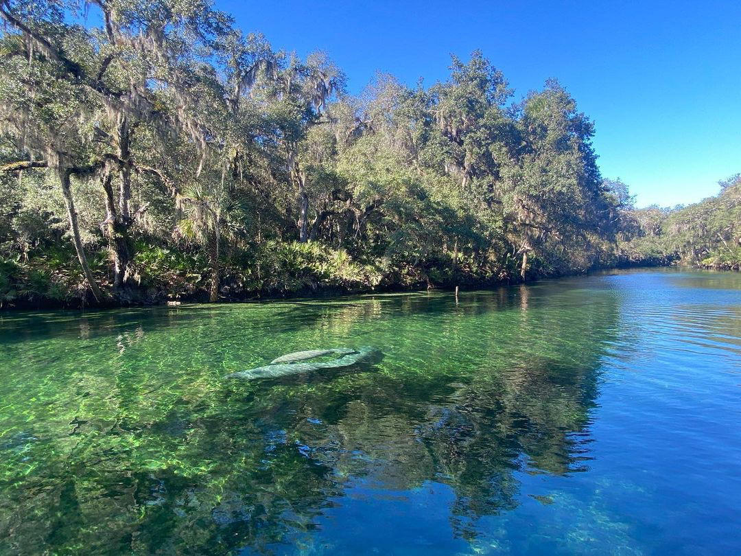 Things to do in Blue Springs – Springs in Florida