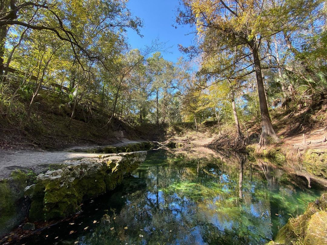 Things to do in Blue Springs (Lafayette County) – Springs in Florida