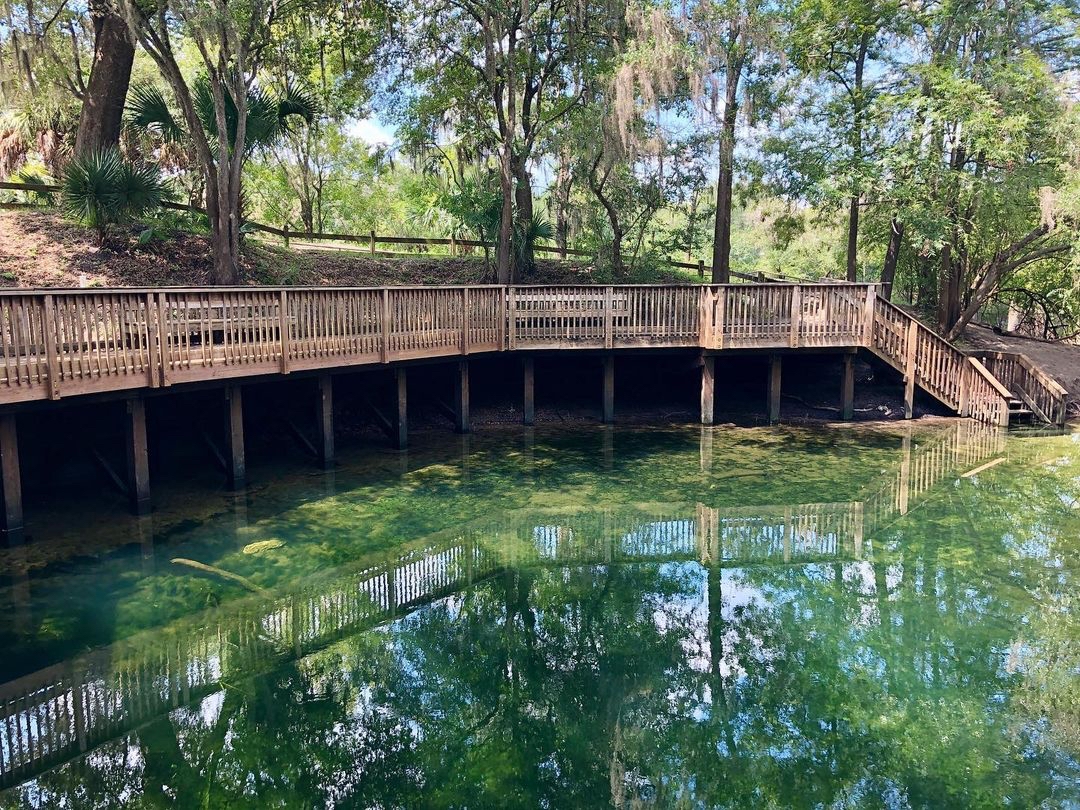 Things to do in Branford Springs – Springs in Florida