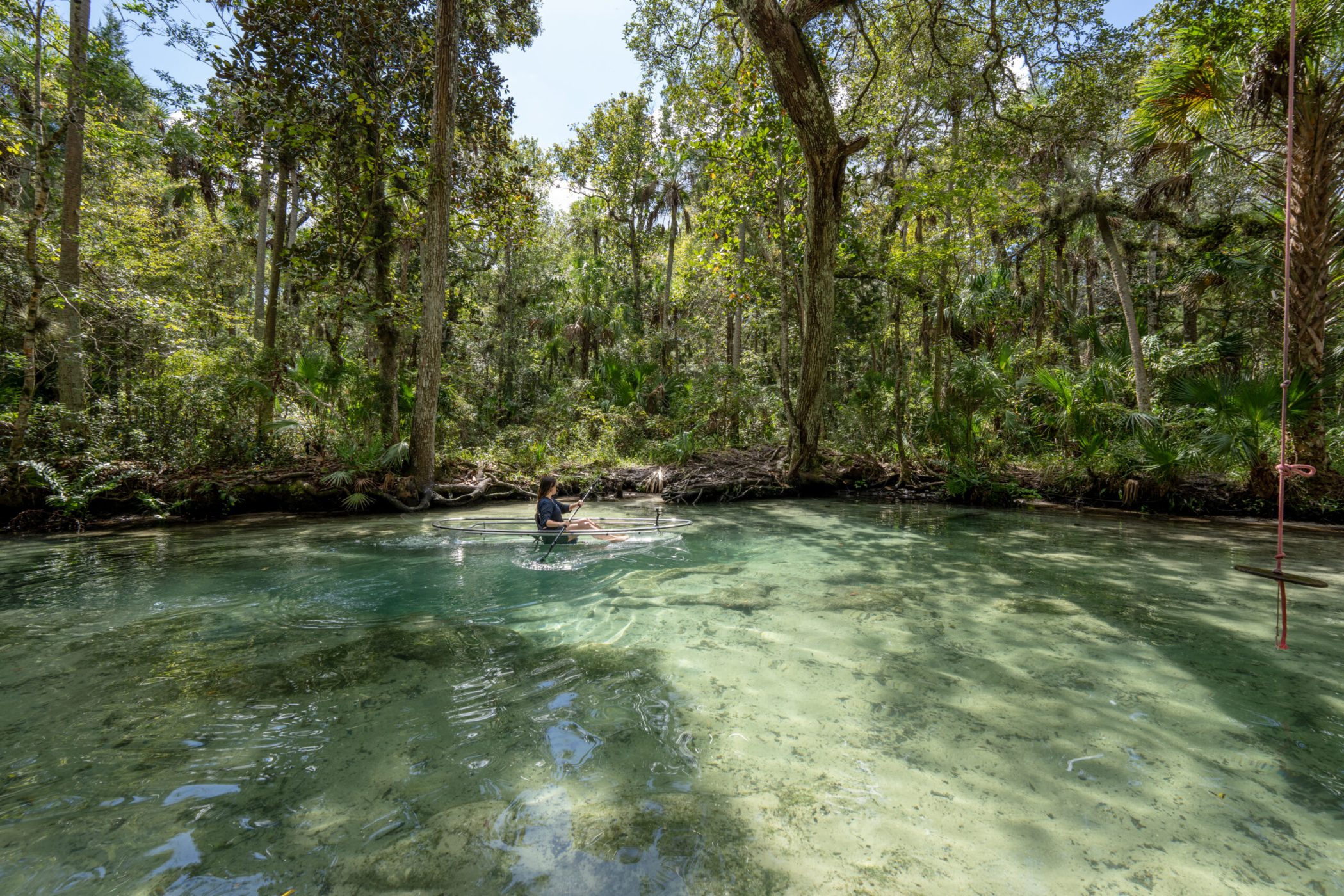 Events - Springs in Florida