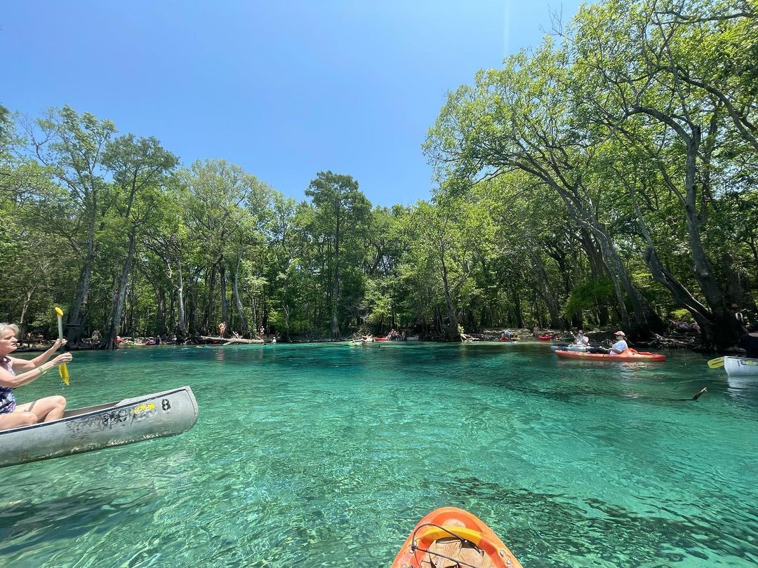 Things to do in Cypress Springs – Springs in Florida