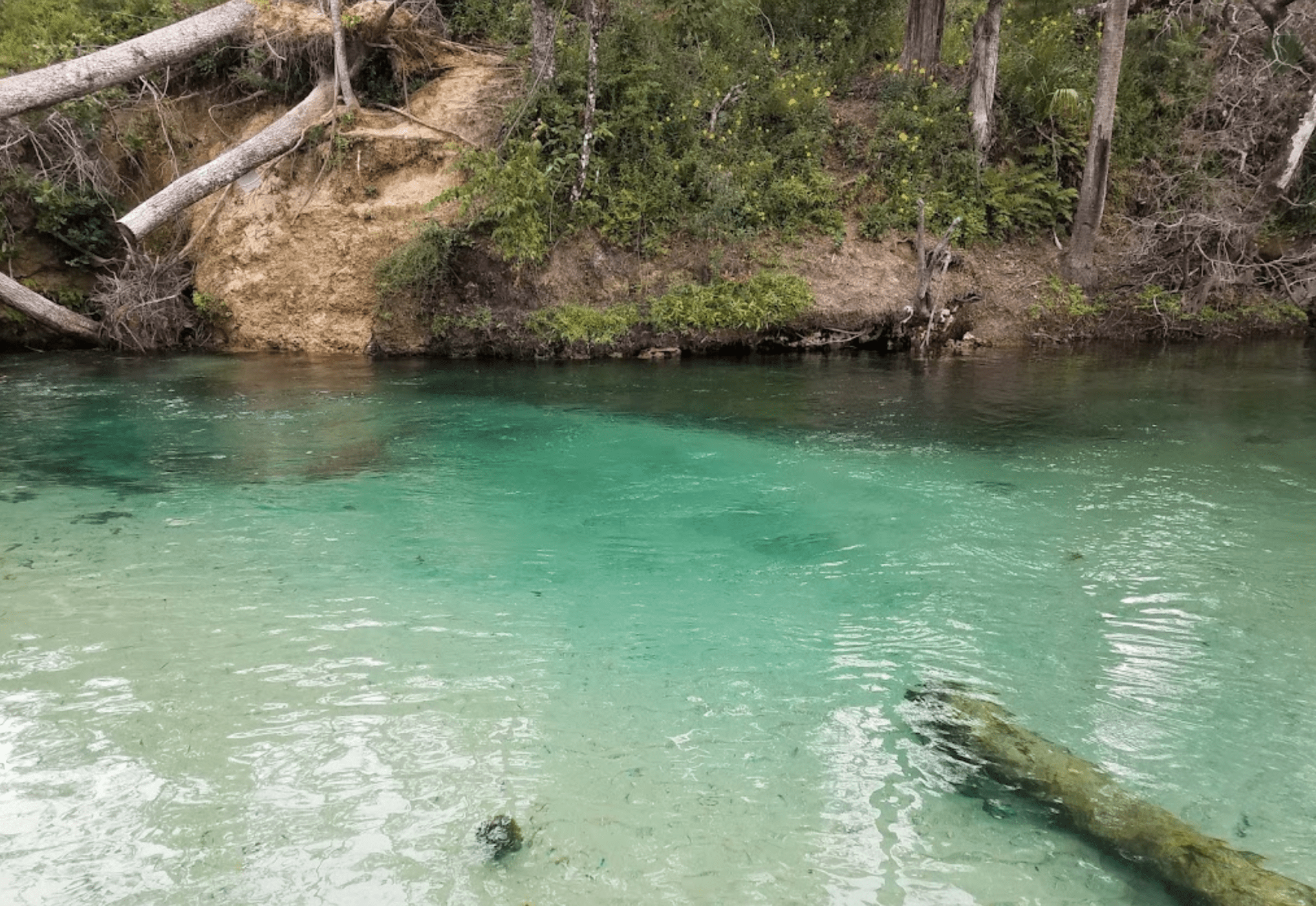 Things to do in Emerald Spring – Springs in Florida