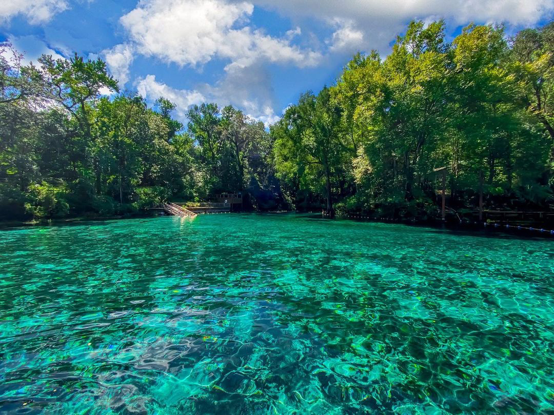 Things to do in Fanning Springs – Springs in Florida