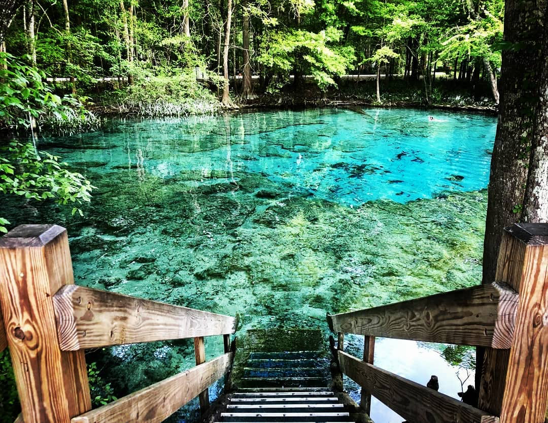 Things to do in Ginnie Springs – Springs in Florida