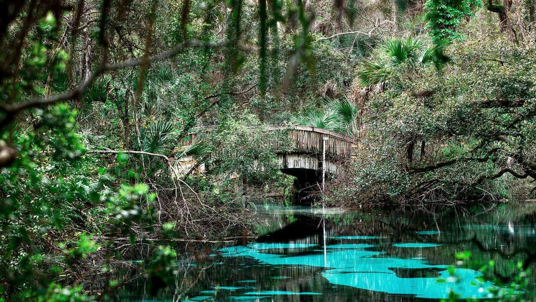 Things to do in Juniper Springs – Springs in Florida