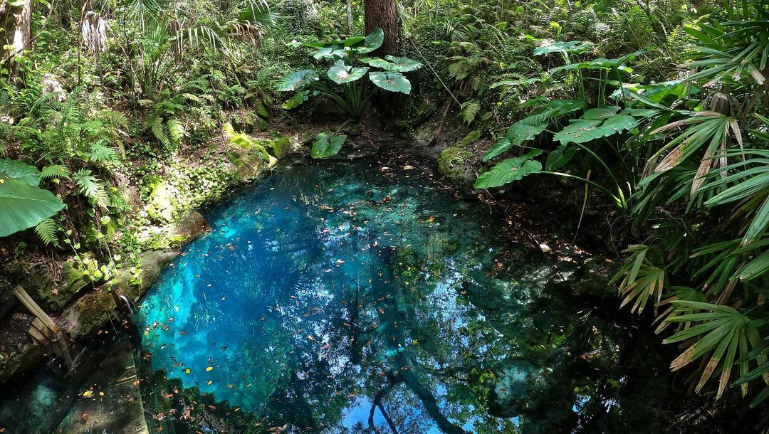 Things to do in Paradise Springs – Springs in Florida