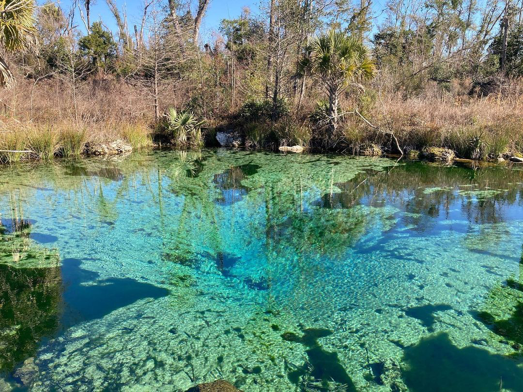 Things to do in Pitt/Sylvan Springs – Springs in Florida