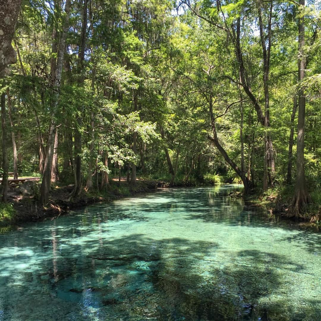 Things to do in Poe Springs – Springs in Florida