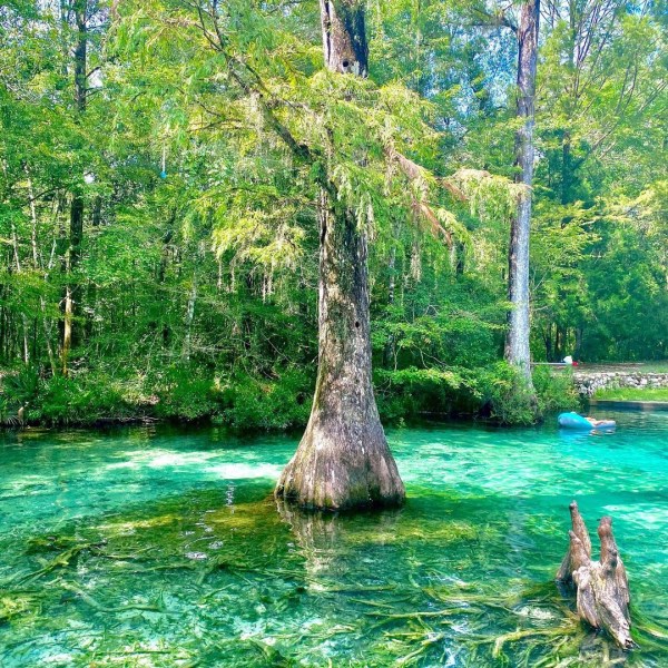 Things to do in Ponce De Leon Springs – Springs in Florida