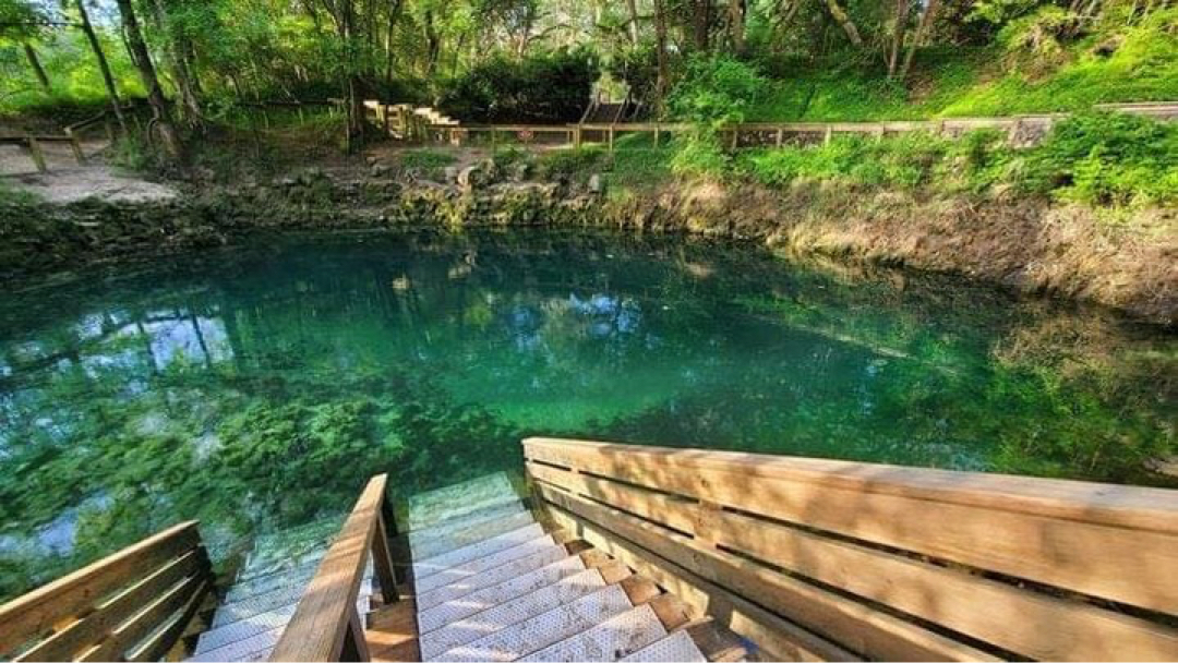 Things to do in Royal Springs – Springs in Florida