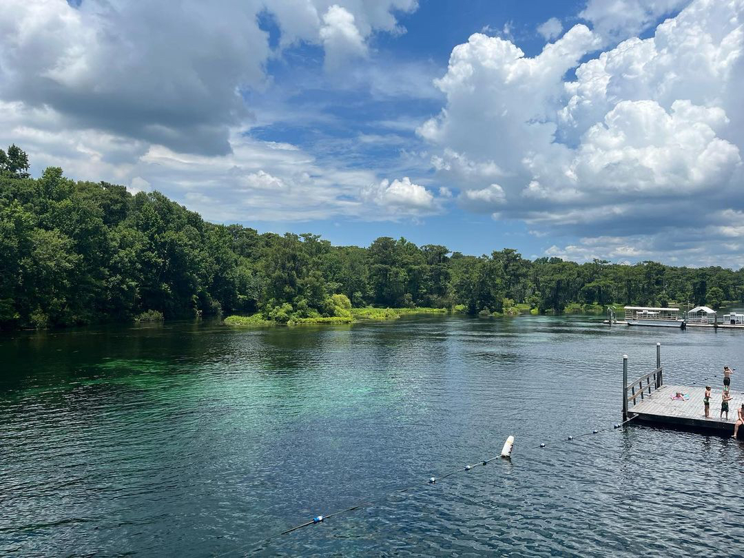 Things to do in Wakulla Spring – Springs in Florida